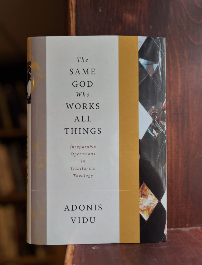 [Book Review] Adonis Vidu, The Same God Who Works All Things – John&Paul's Reflections
